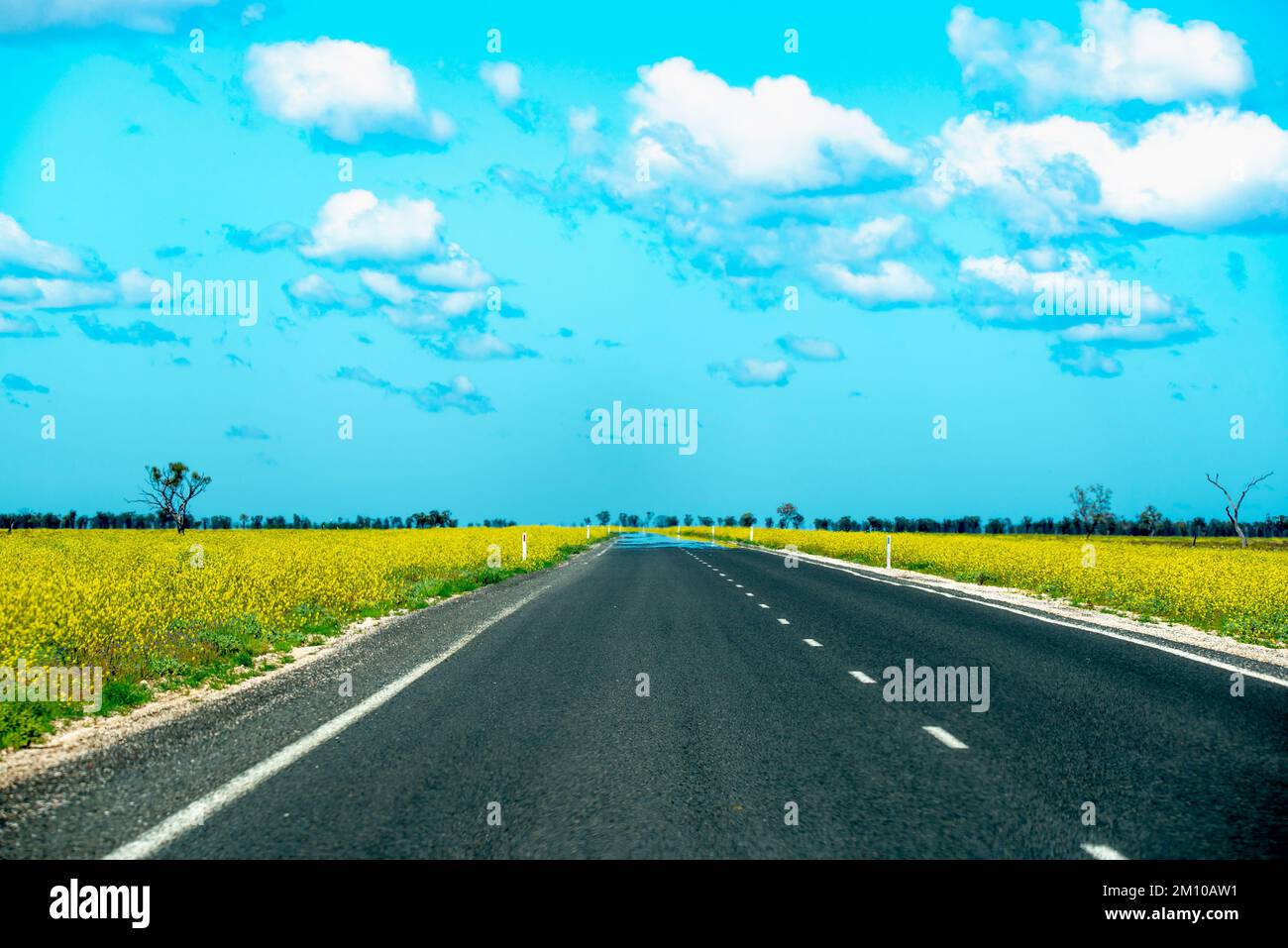 A mirage on a long straight stretch of road near Goodooga, New South ...