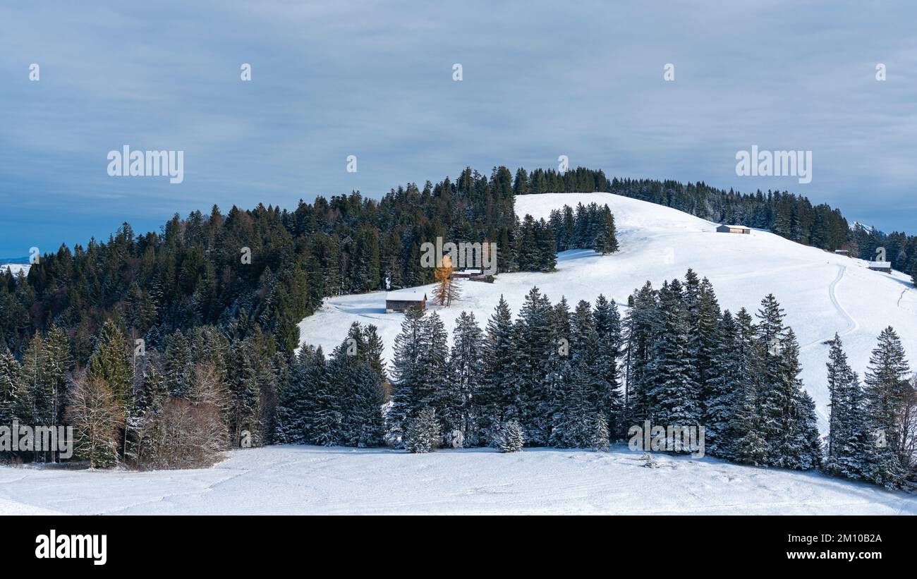 Wiese mit scheune und wald im hintergrund hi-res stock photography and images - Alamy