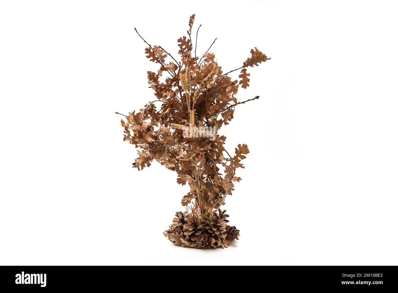 Orthodox Christian celebration - Badnjak. Serbian Christmas - Bozic ...