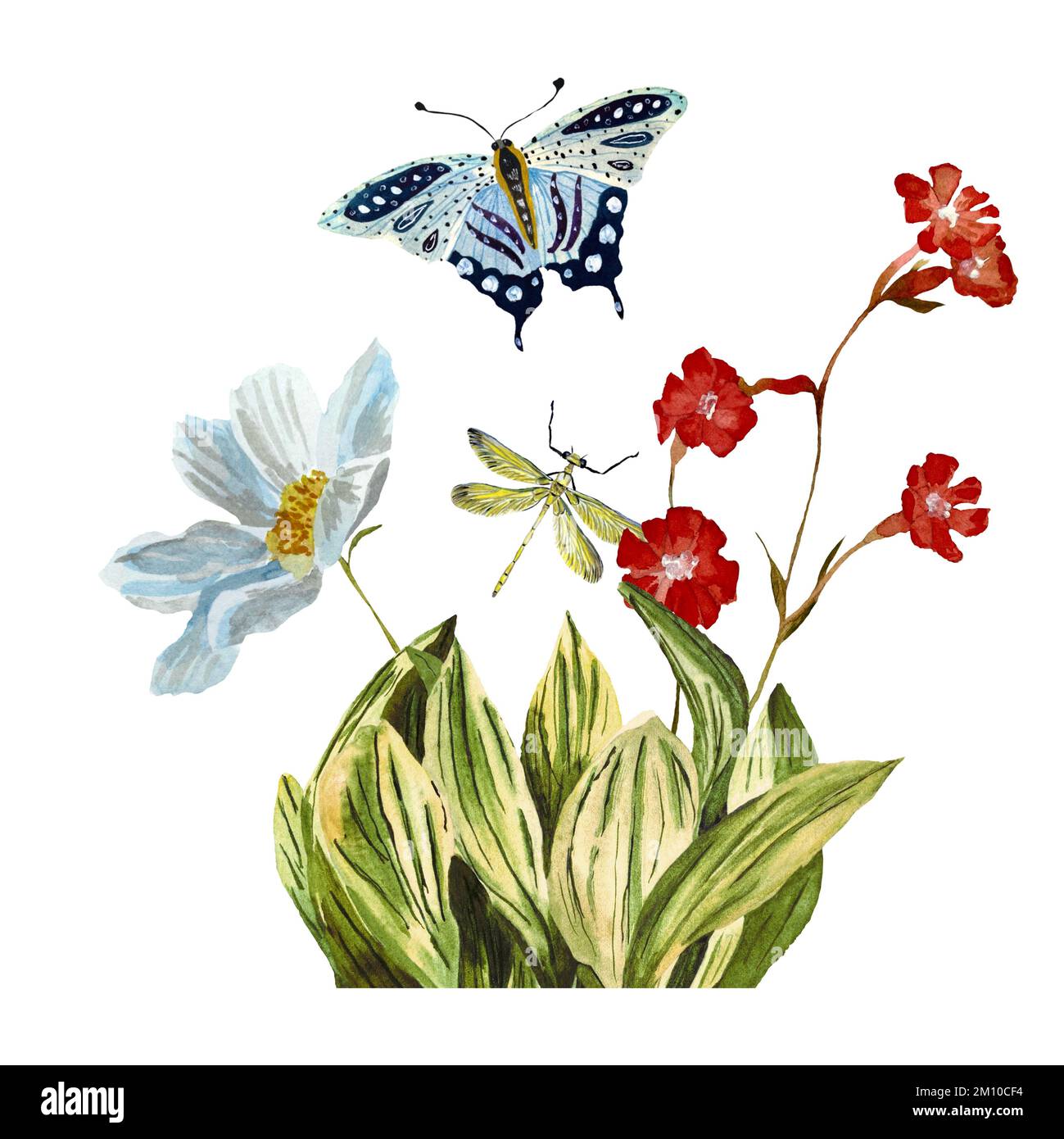 Grass daisy butterfly blue dragonfly a watercolor Stock Photo - Alamy