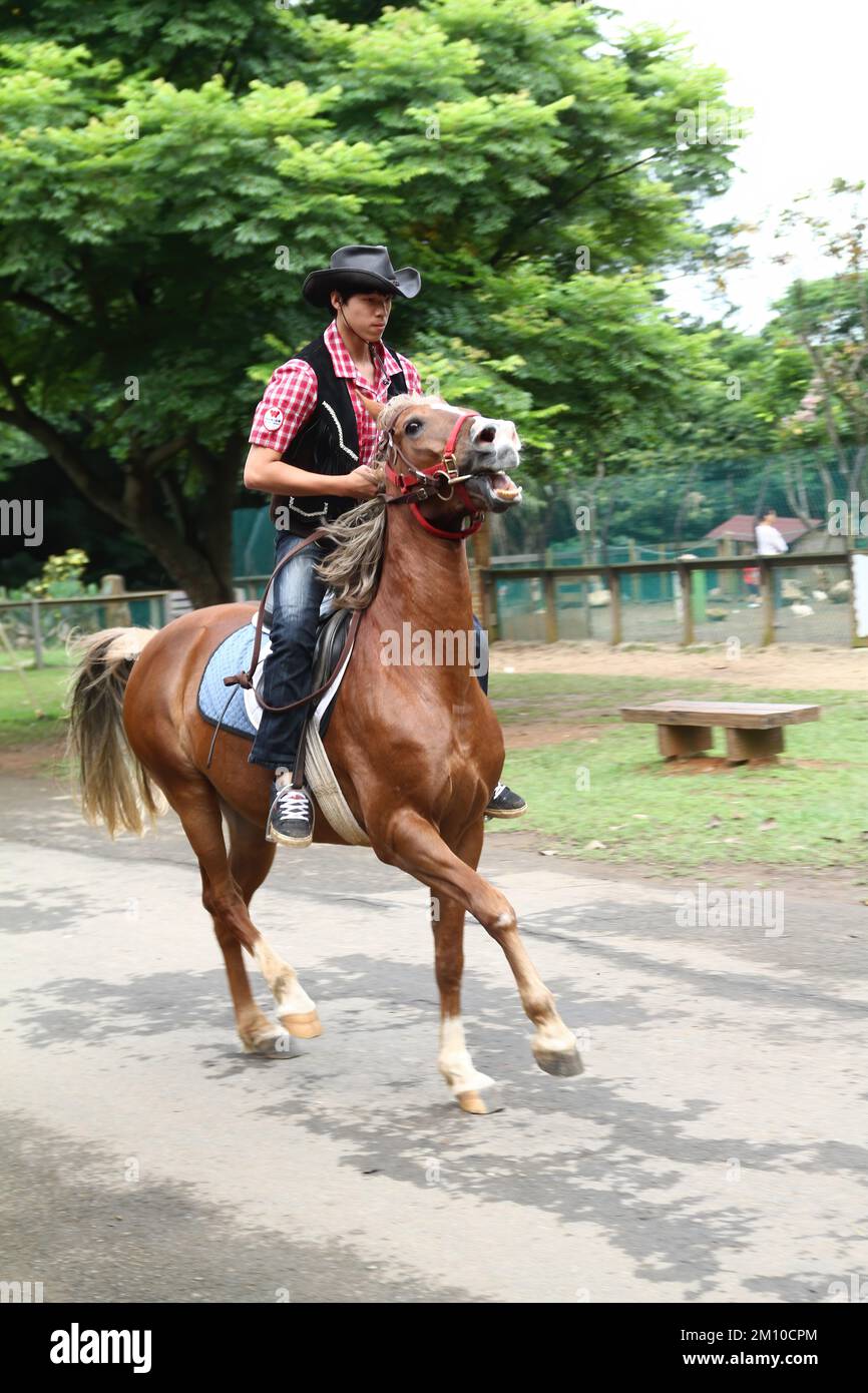 Pushin ranch hi-res stock photography and images - Alamy