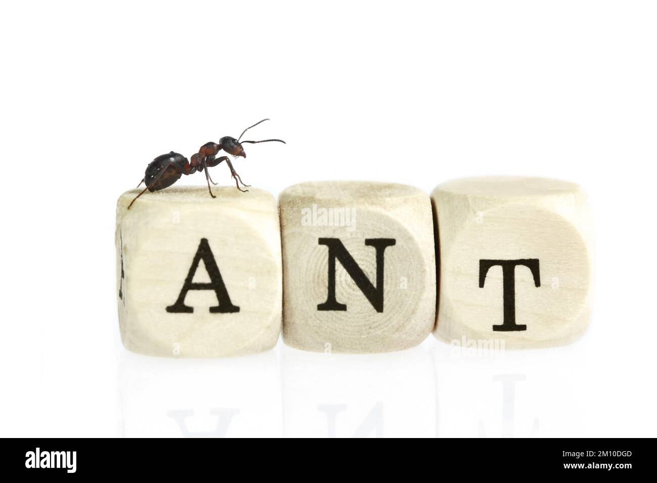 Learn moving Cut Out Stock Images & Pictures - Alamy