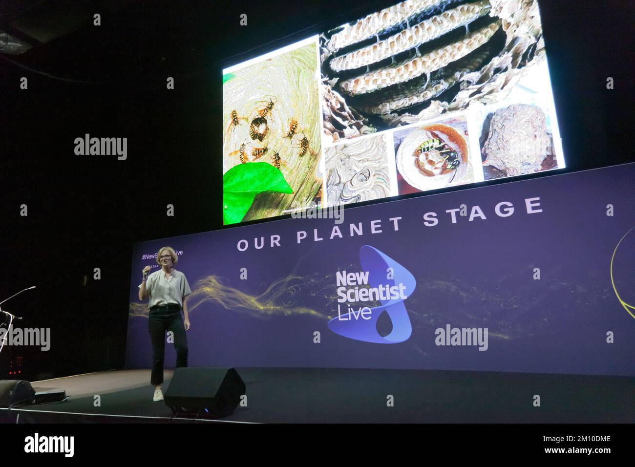 Seirian Sumner giving her talk, "Why wasps matter", on the Our Planet ...