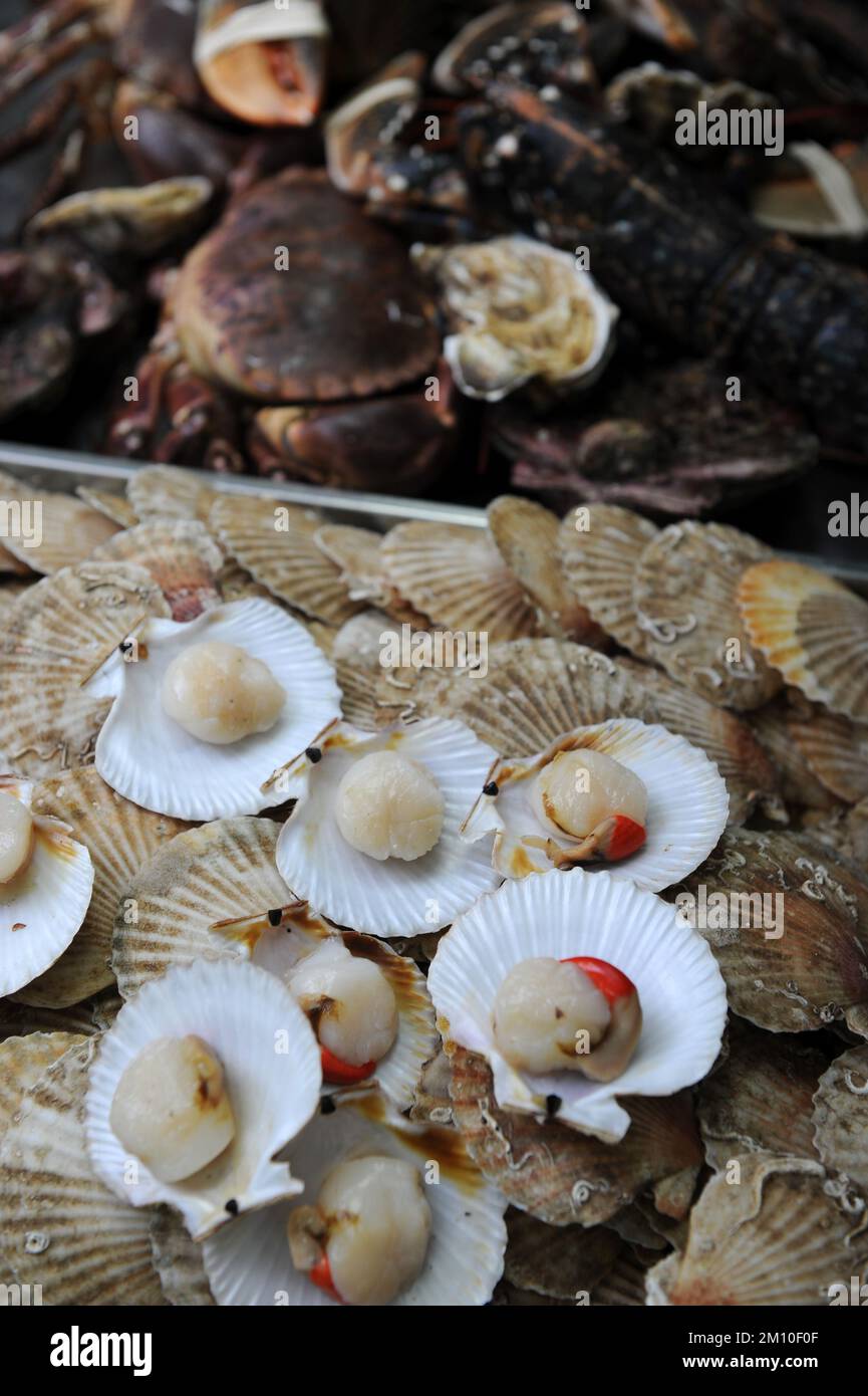 Scallop hors doeuvres hi-res stock photography and images - Alamy