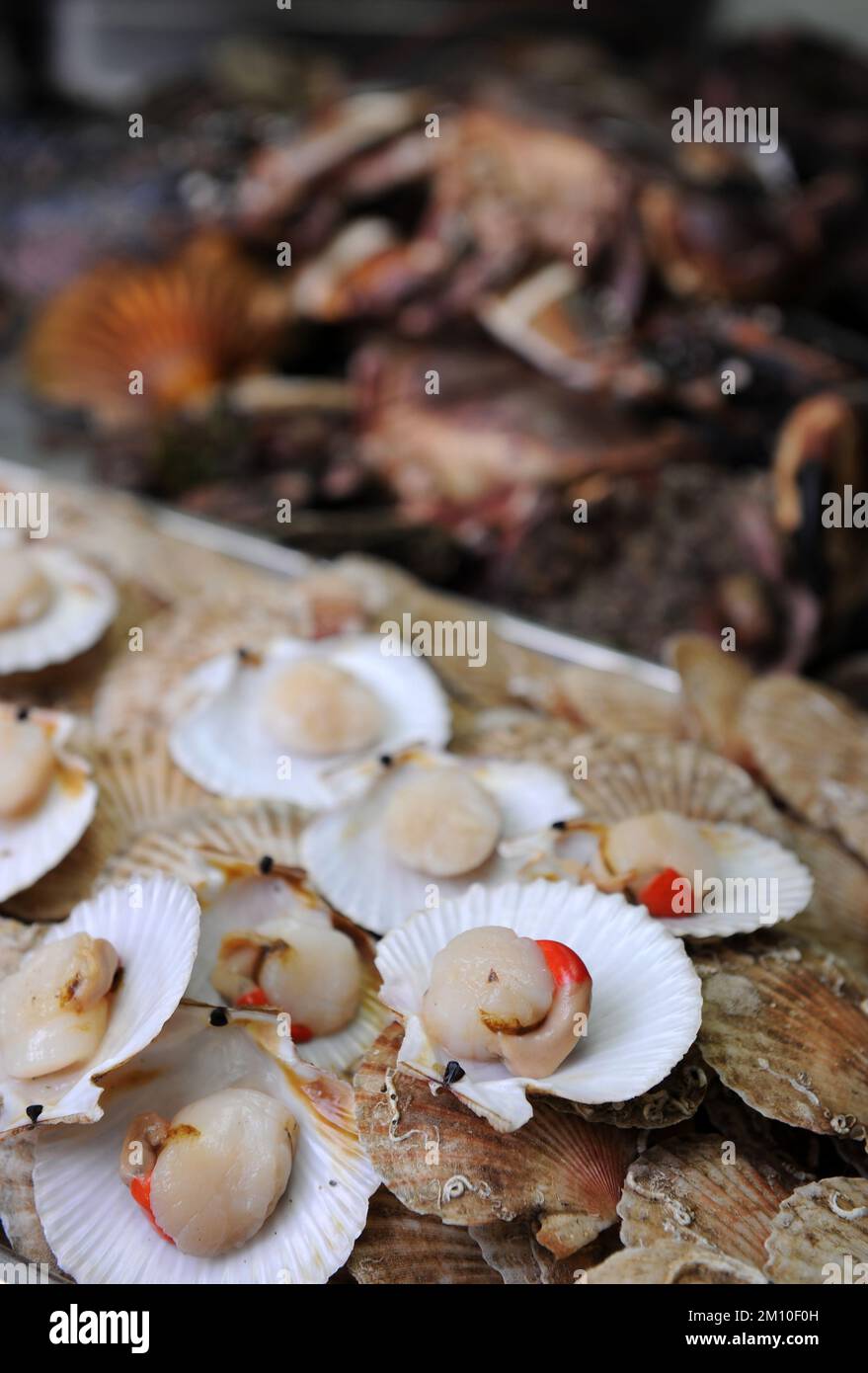 Scallop hors doeuvres hi-res stock photography and images - Alamy