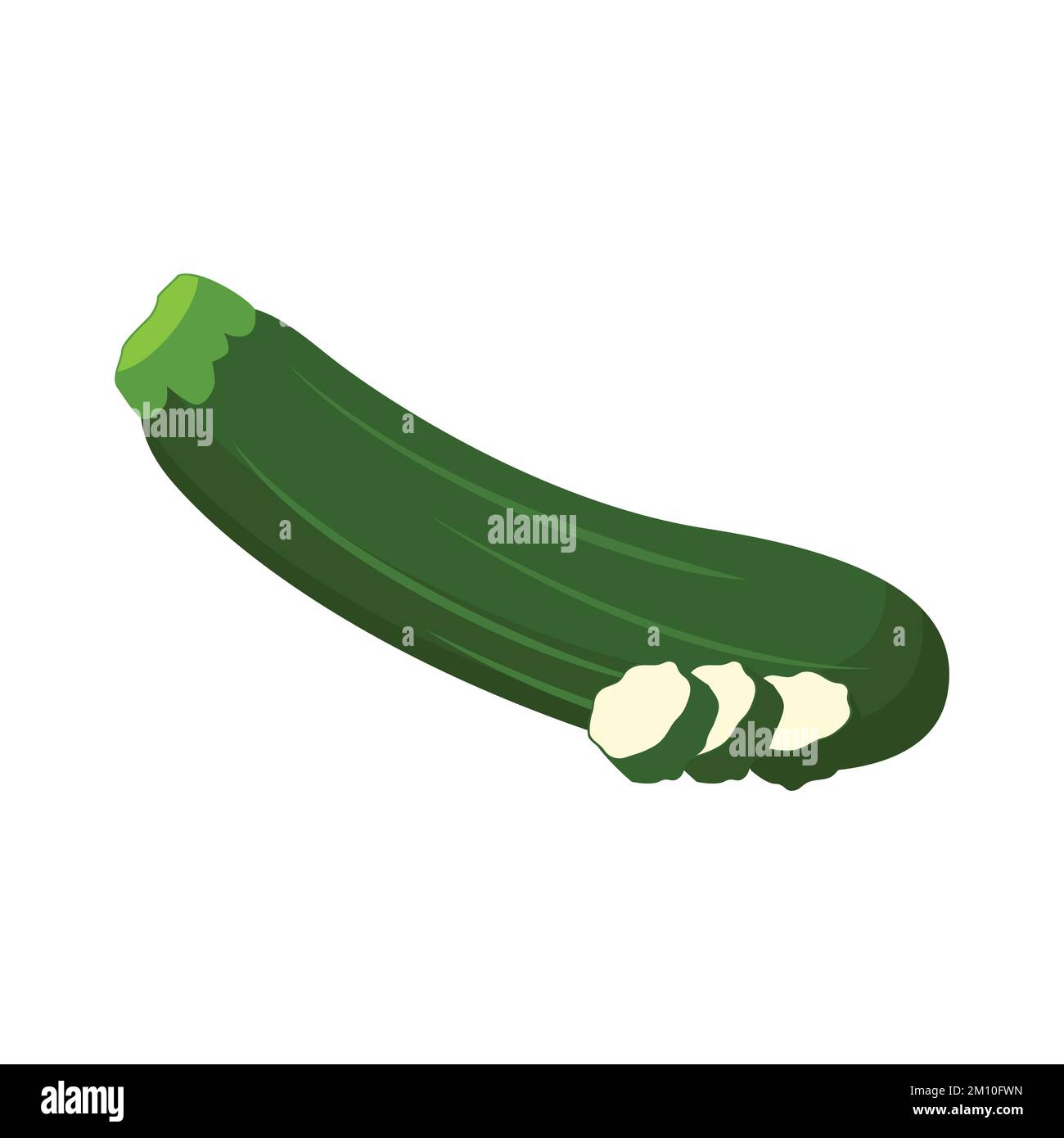 Zucchini plant on farm Stock Vector Images - Alamy