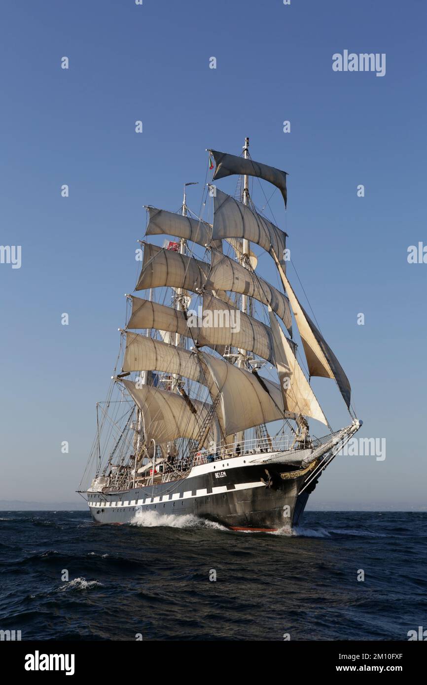 French barque Belem, tall ships race off Lisbon, 2016 Stock Photo - Alamy