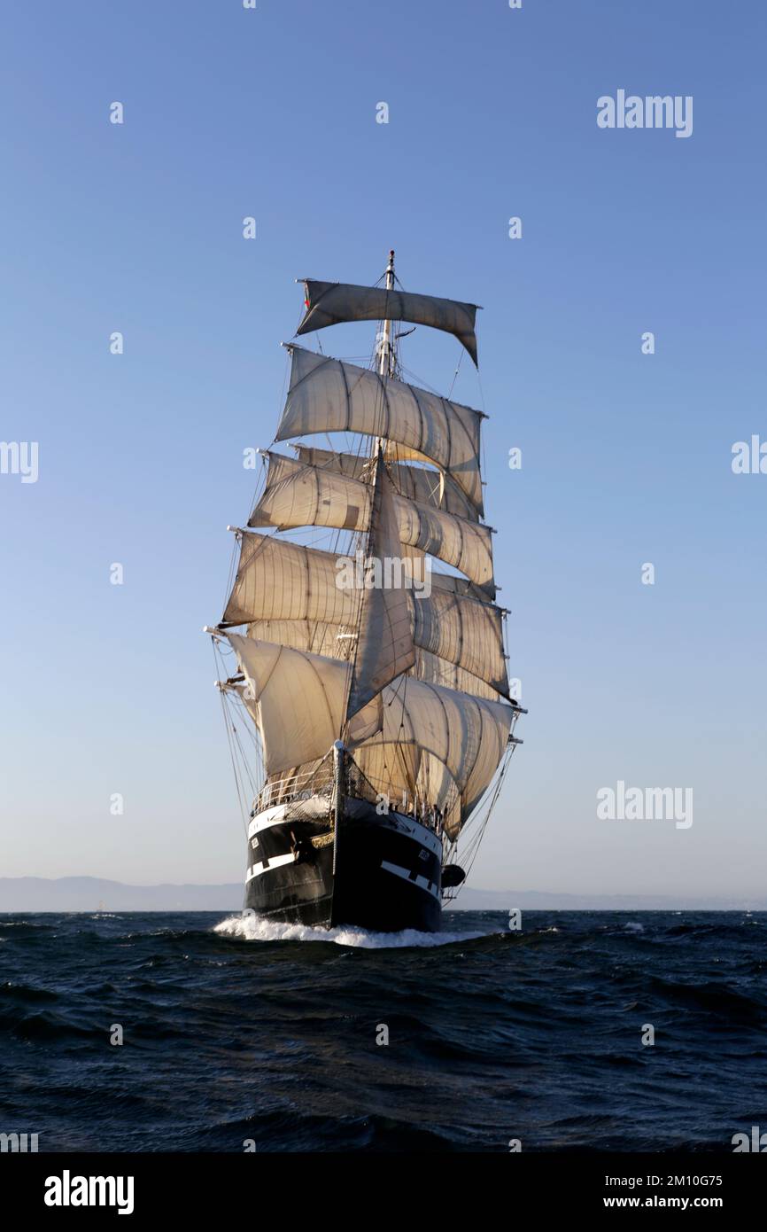 French barque Belem, tall ships race off Lisbon, 2016 Stock Photo - Alamy