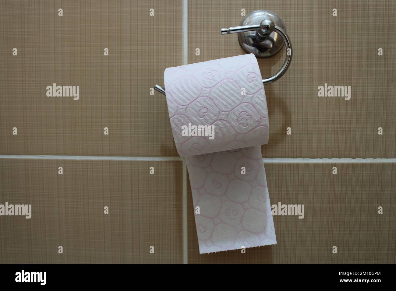 Toliet paper roll placed on a toliet paper holder inside of a restroom ...