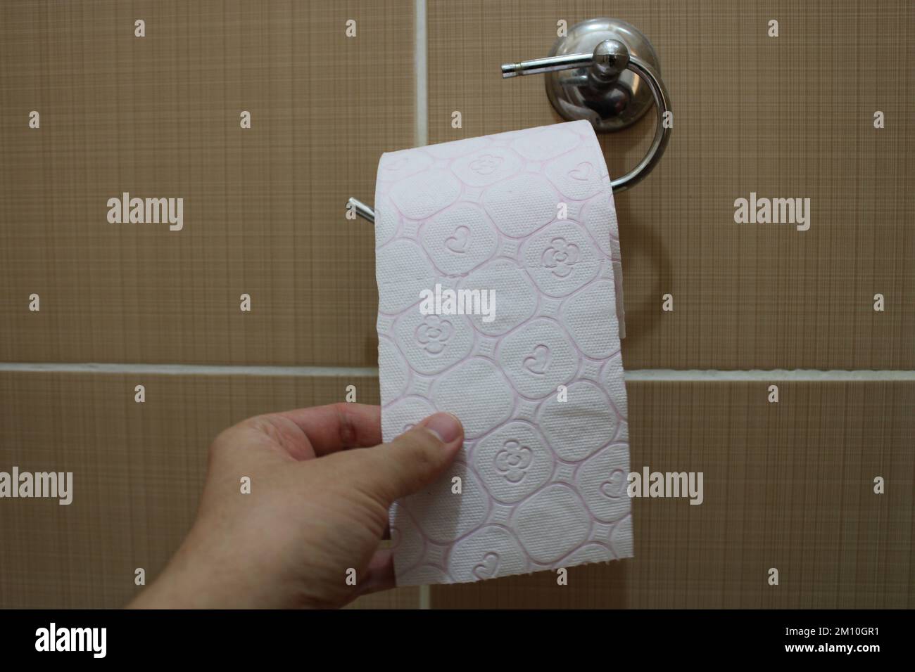 Toliet paper roll placed on a toliet paper holder inside of a restroom ...