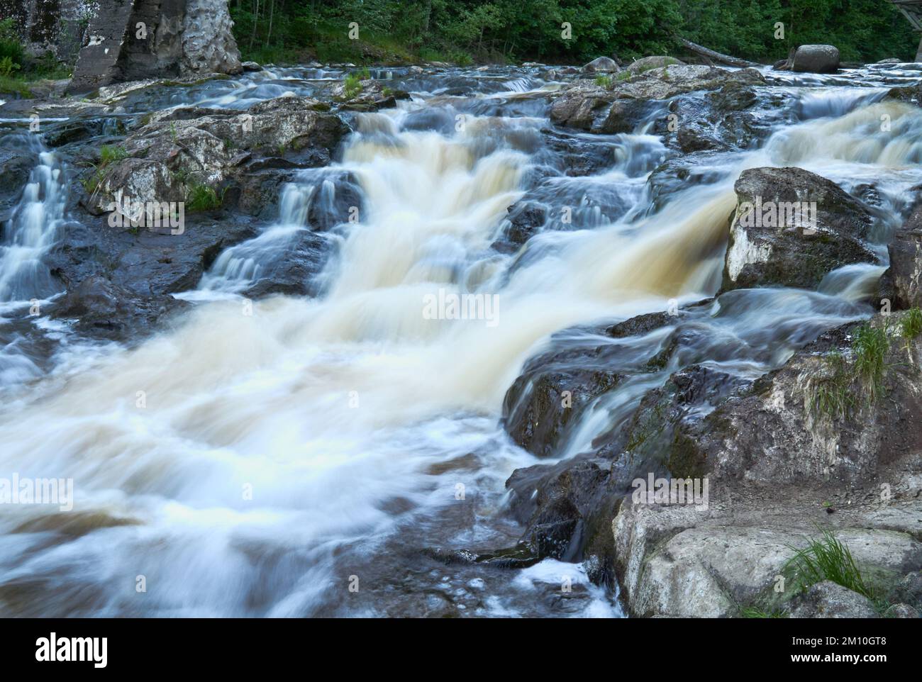 A river flowing through a forest Stock Photo - Alamy