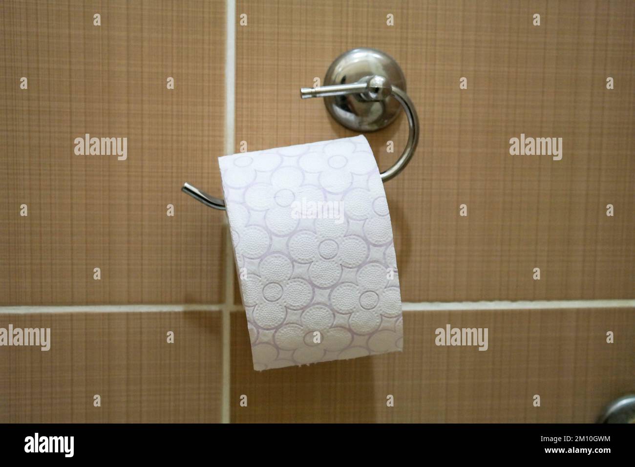 Toilet toliet paper hi-res stock photography and images - Alamy