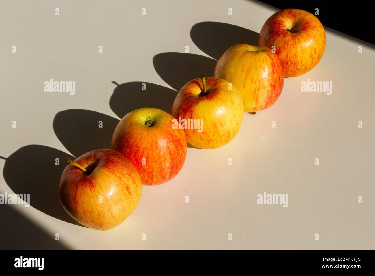 A set of apples in a row. Apples are yellow-red. Hard light Stock Photo ...