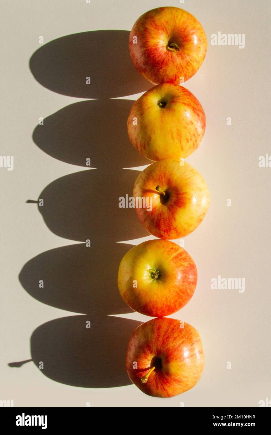 A set of apples in a row. Apples are yellow-red. Hard light Stock Photo ...