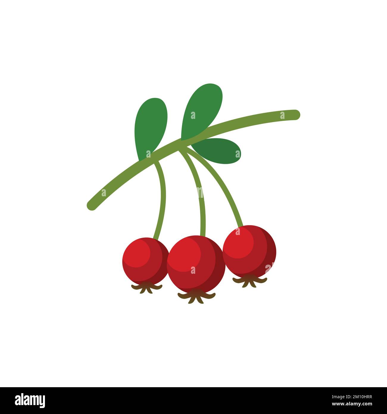 Ugni Flat design clip art vector illustration isolated on a white ...