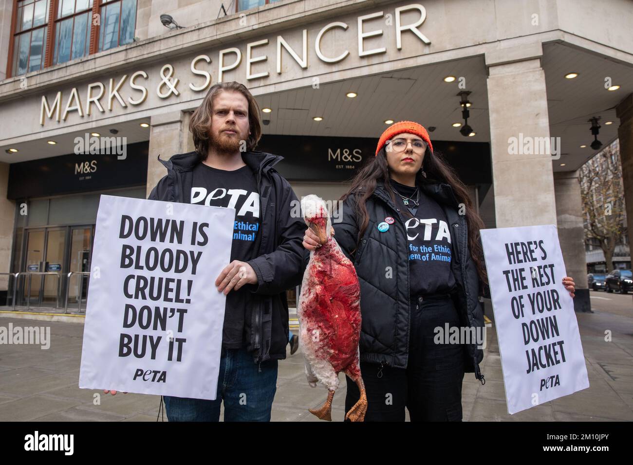 London, UK. 9 December, 2022. PETA supporters holding a model of a dead ...