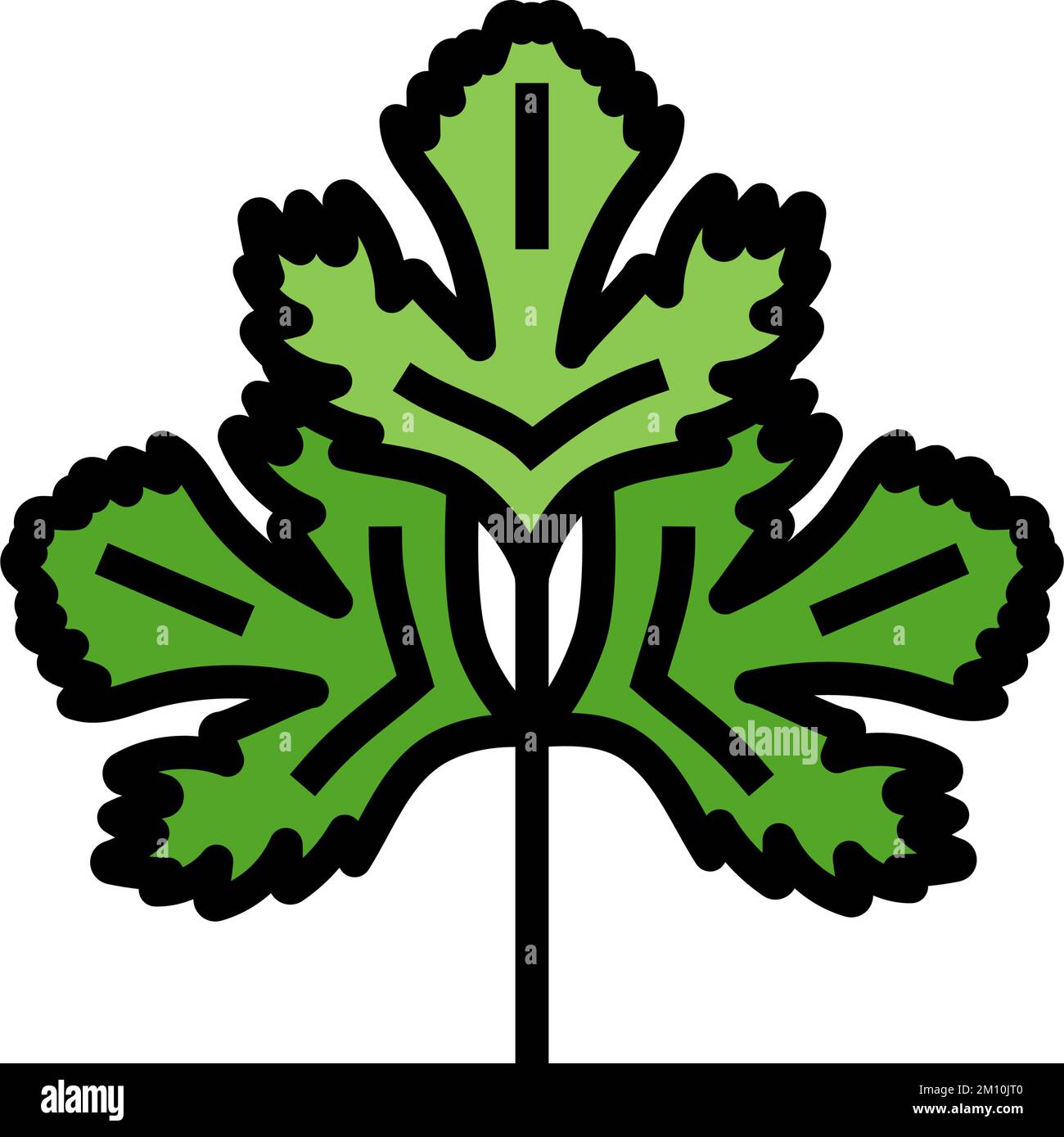 cilantro salad food color icon vector illustration Stock Vector Image ...