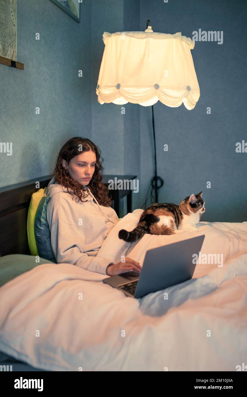 Working from home with a cat Stock Photo - Alamy