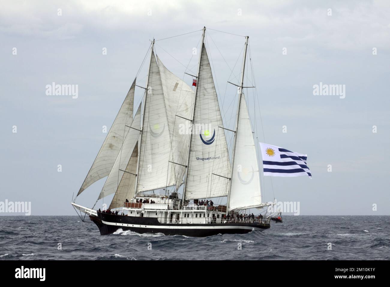 Uruguayan schooner Capitan Miranda under full sail Stock Photo - Alamy