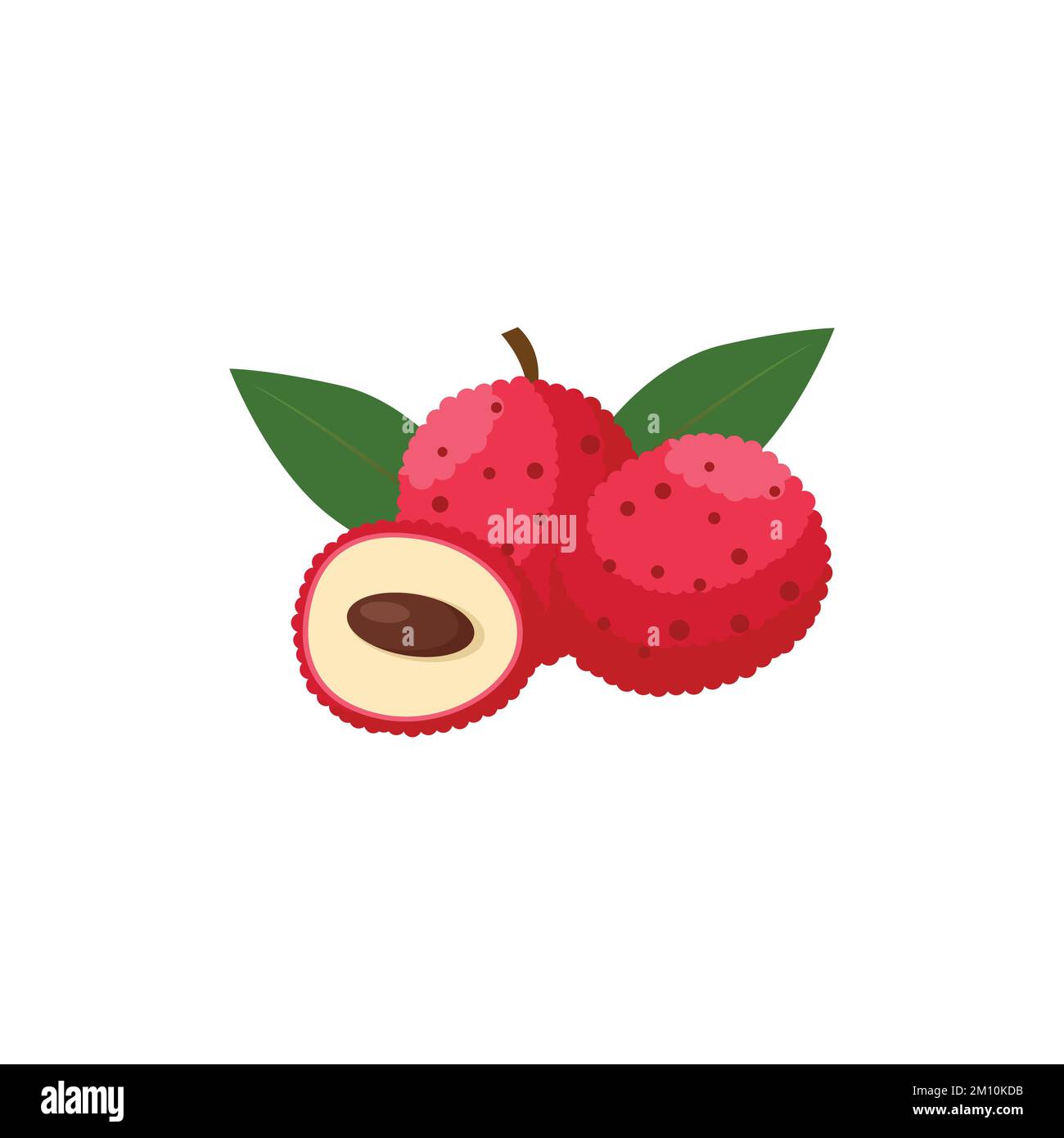 Lychee Flat design clip art vector illustration isolated on a white ...