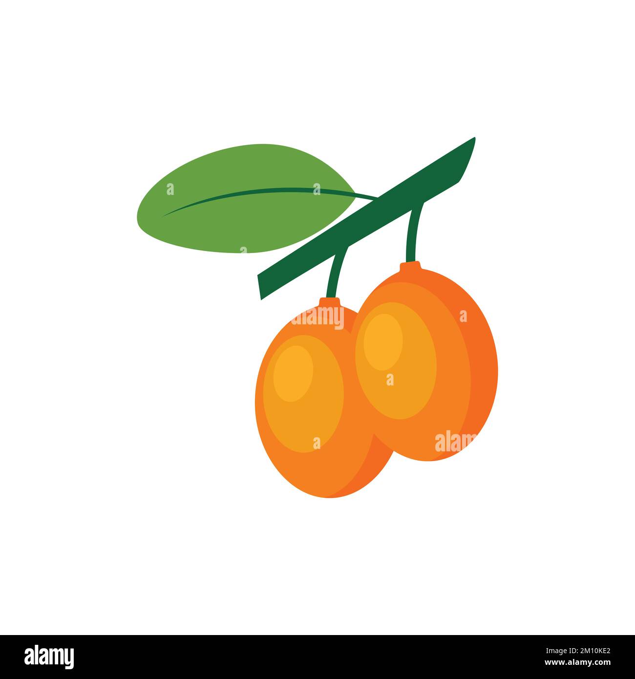 Imbe Flat design clip art vector illustration isolated on a white ...