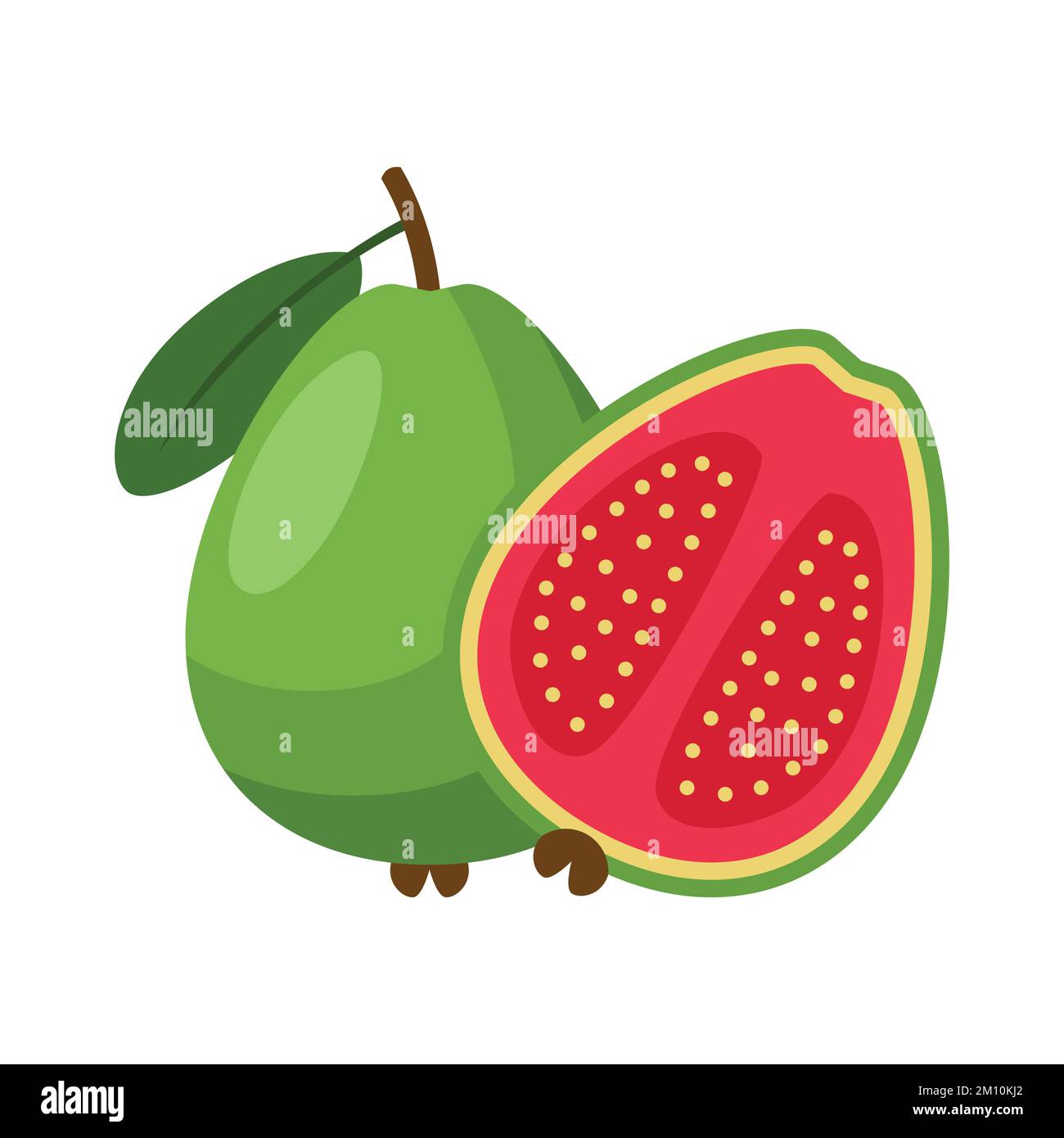 Guava fruit Stock Vector Images - Alamy