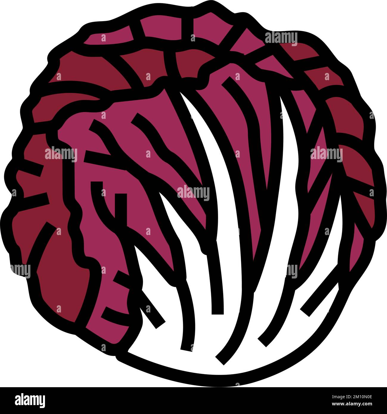 Radicchio Salad Food Color Icon Vector Illustration Stock Vector Image And Art Alamy