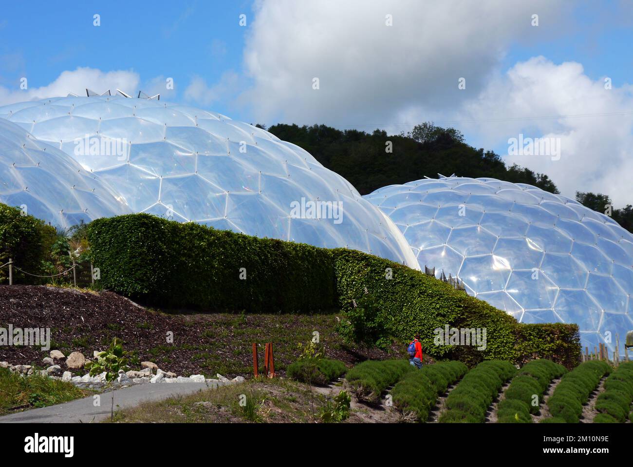 Path in the Gardens at t the Eden Project, Cornwall, England, UK Stock ...