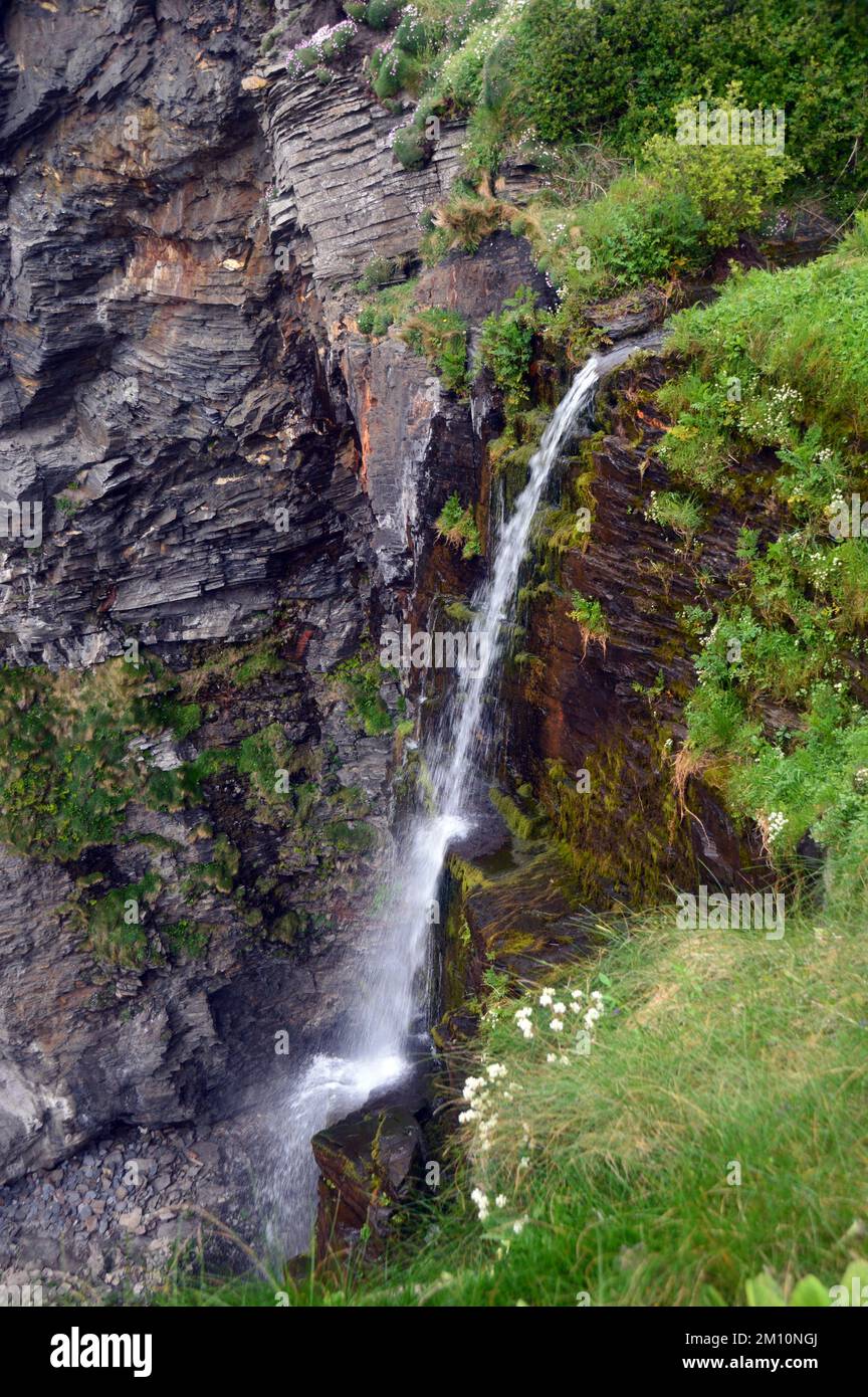 Pentargon cliff hi-res stock photography and images - Alamy