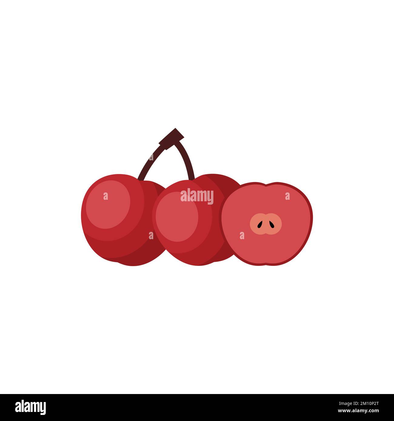 Crab Apples Flat Design Clip Art Vector Illustration Isolated On A White Background Stock Vector