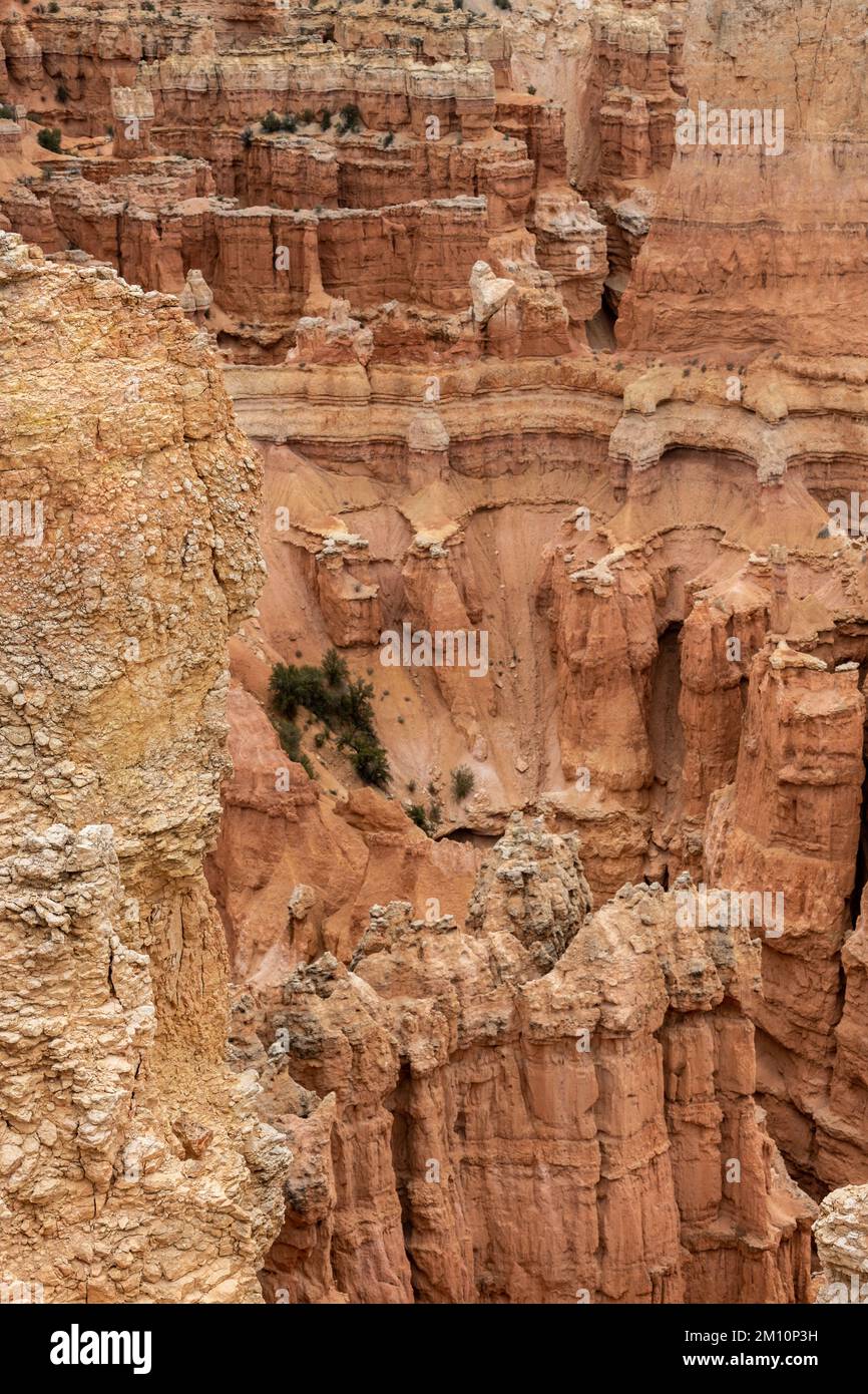Many Different Textures of Hoodoos From Different Levels in Bryce ...