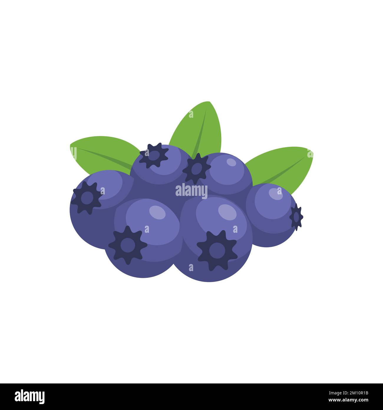 Blueberries Fruit Flat Design, Vector Illustration Stock Vector Image ...