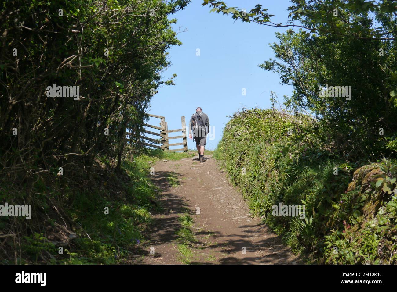Coastal path gate tree hi-res stock photography and images - Alamy