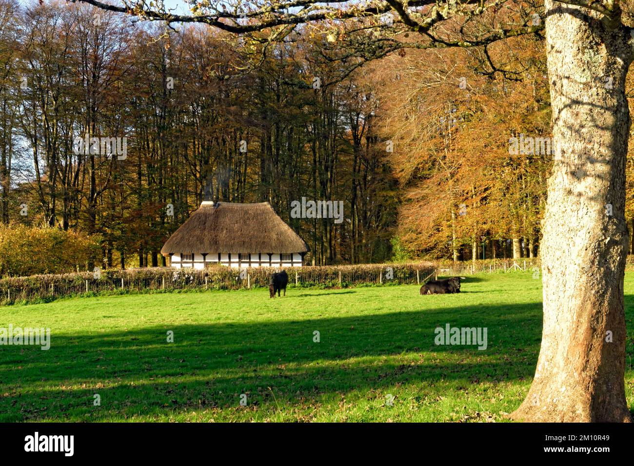 Abernodwydd Farmhouse, St Fagans National Museum of History/Amgueddfa ...