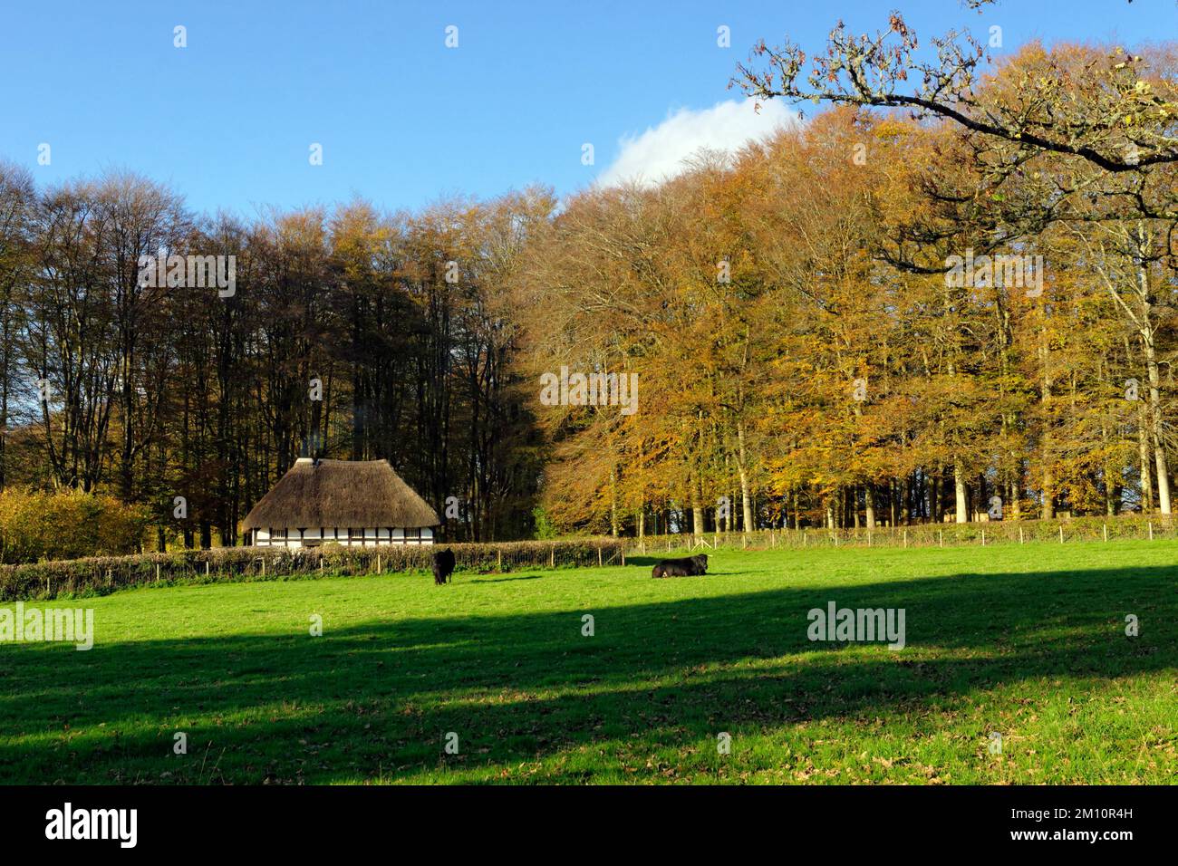 Abernodwydd Farmhouse, St Fagans National Museum of History/Amgueddfa ...