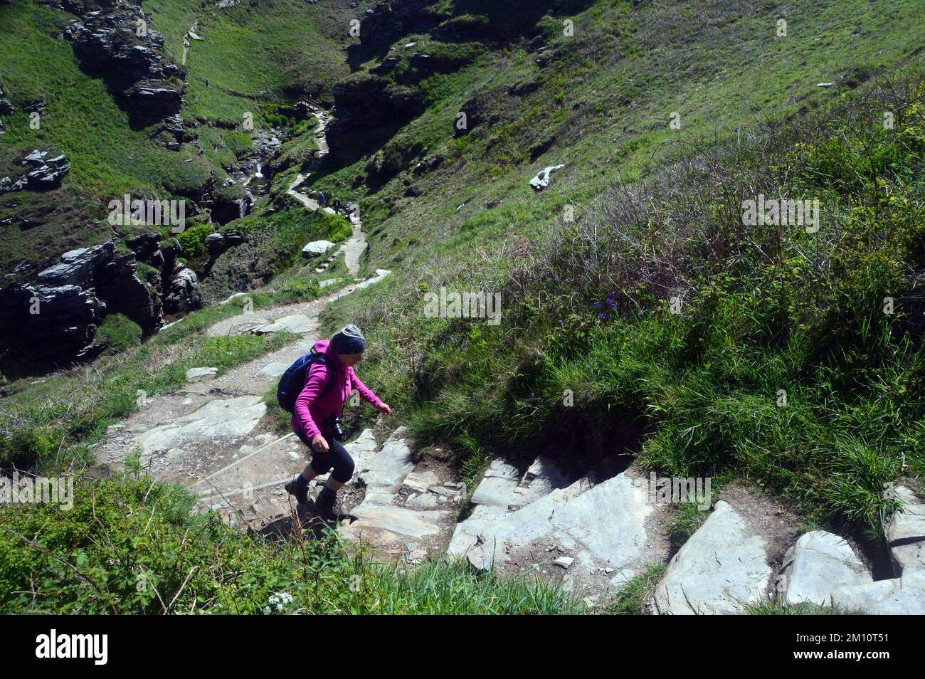 Rocky Climbing Steps