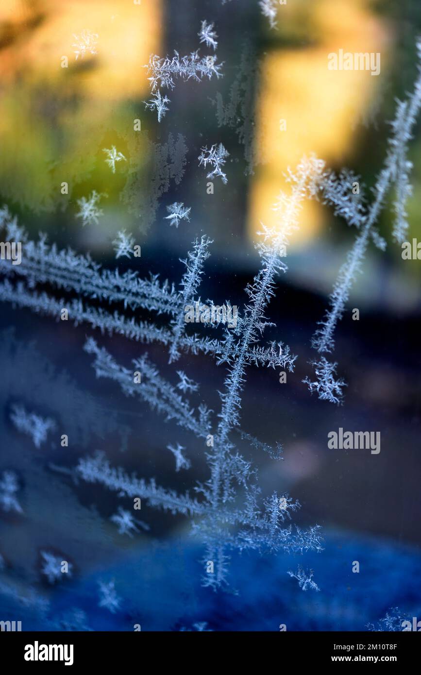 frost patterns on glass Stock Photo - Alamy