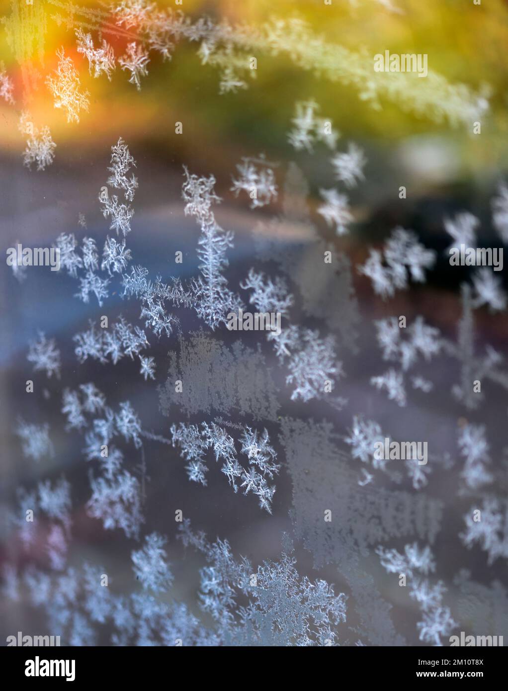 frost patterns on glass Stock Photo - Alamy