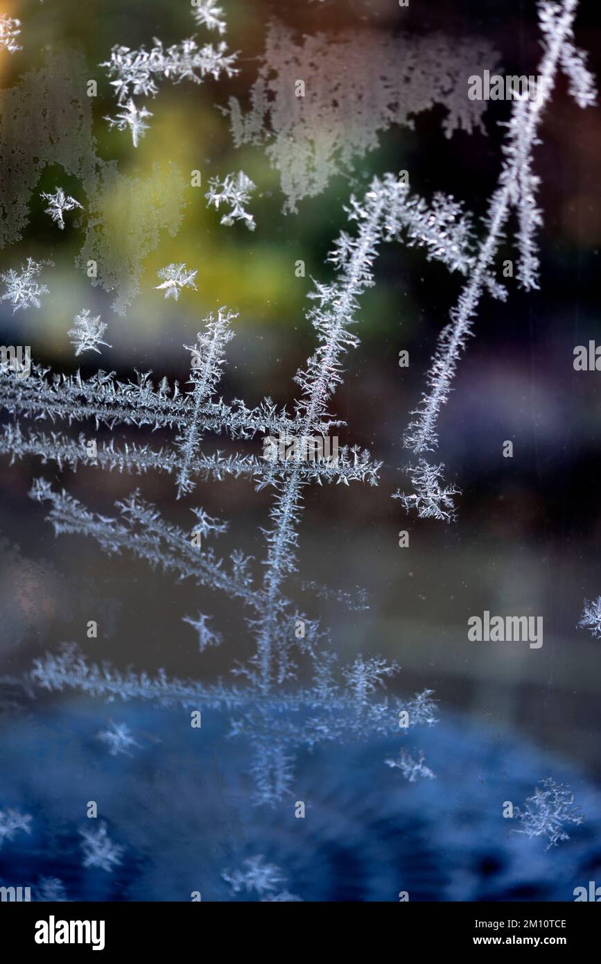 frost patterns on glass Stock Photo - Alamy