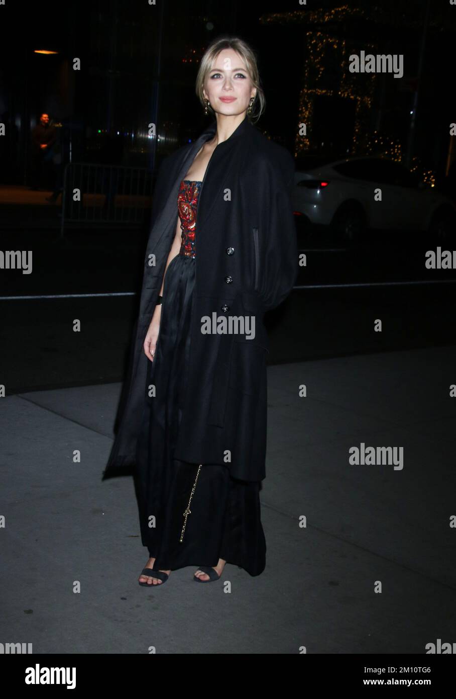 New York, NY, USA. 08th Dec, 2022. Anna Weyant at The Museum of Modern ...