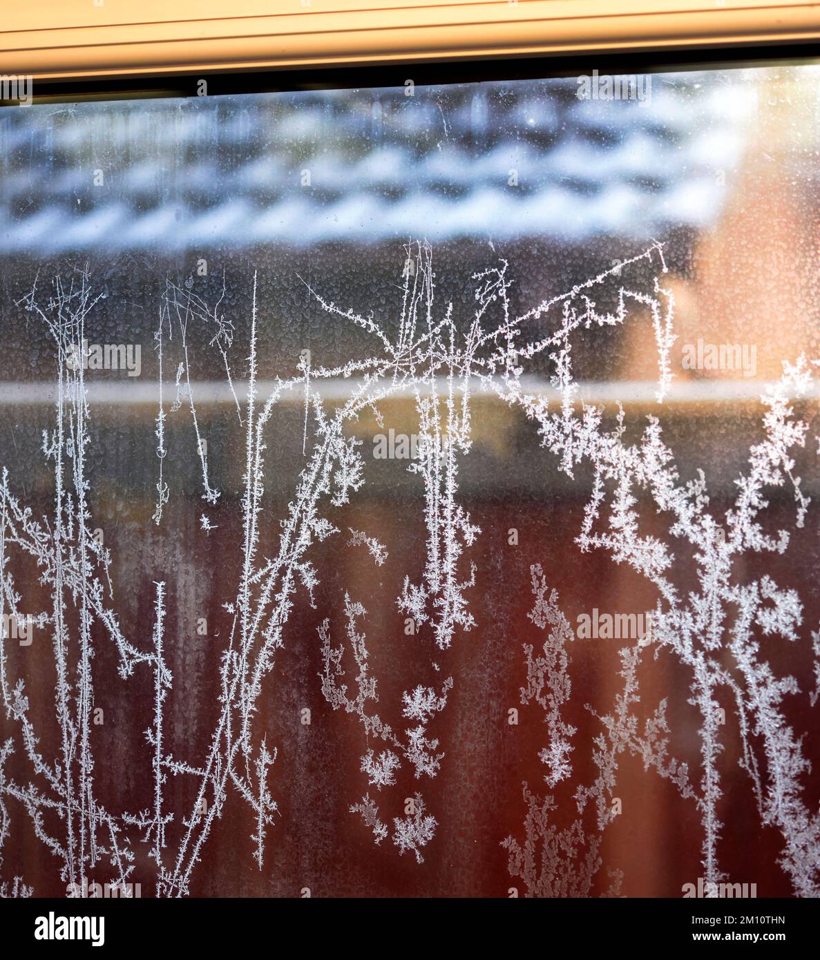 frost patterns on glass Stock Photo - Alamy