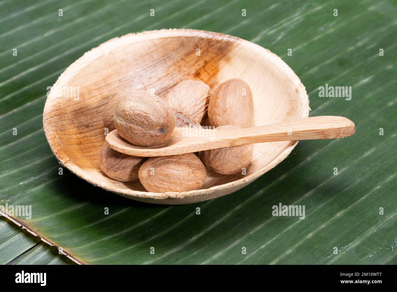 Bamboo section half cut hi-res stock photography and images - Alamy