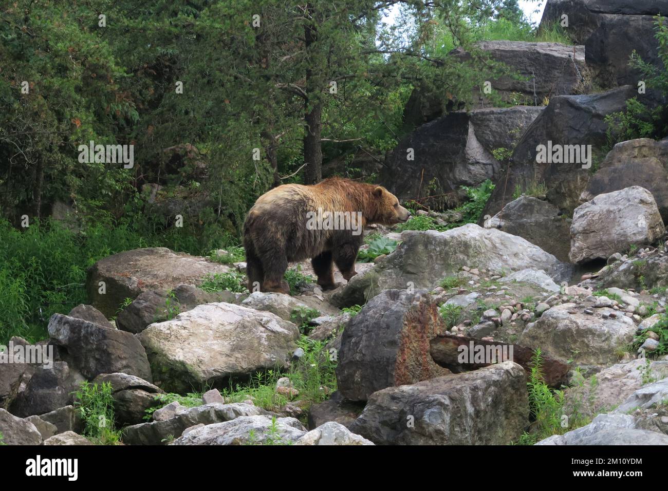 Ferme canadienne hi-res stock photography and images - Alamy