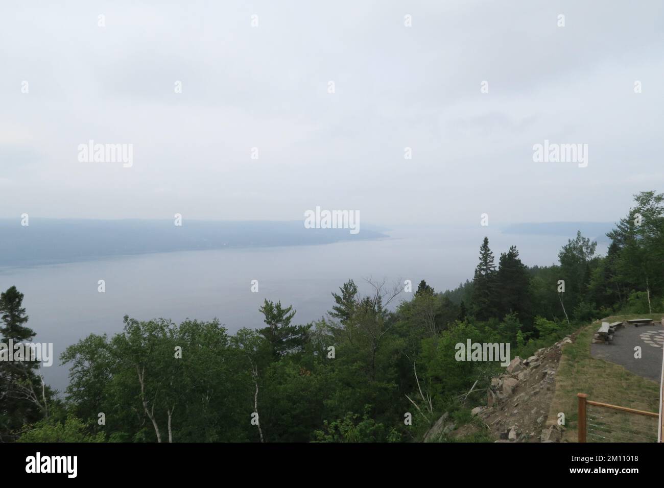 Sapin canadien hi-res stock photography and images - Alamy