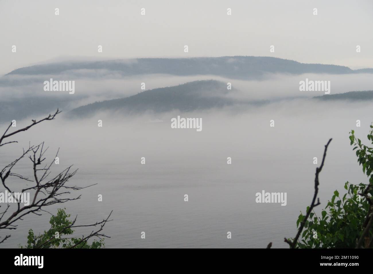 Sapin canadien hi-res stock photography and images - Alamy