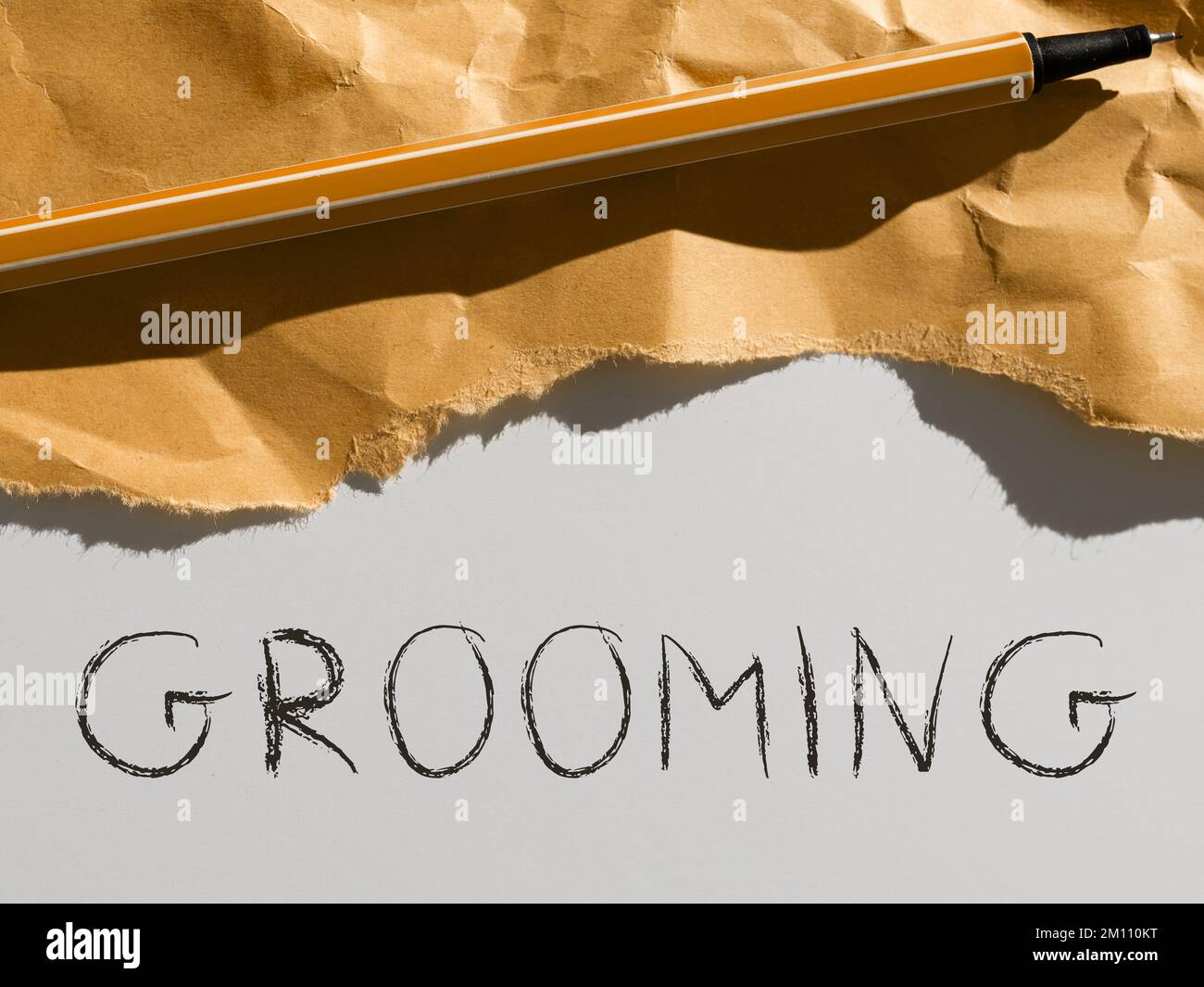 Sign displaying Grooming. Word for hygienic care and enhancing the ...