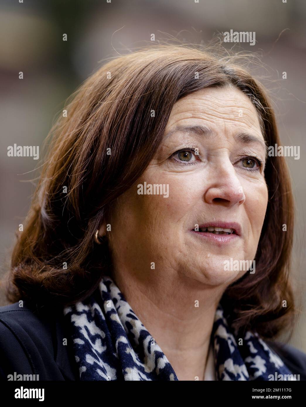 THE HAGUE - Conny Helder, Minister for Long-Term Care and Sport, at the ...