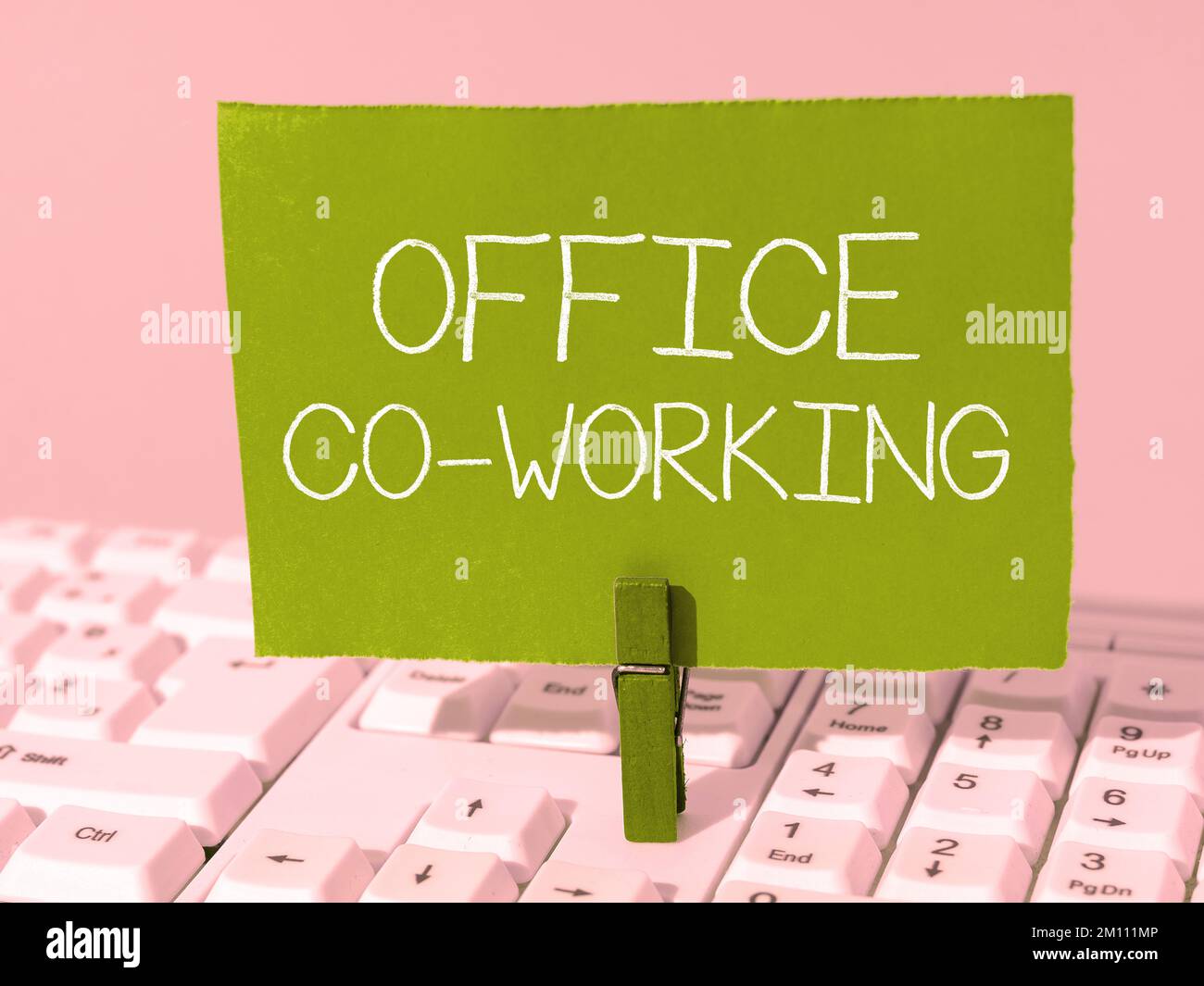 Writing displaying text Office Co Working. Concept meaning Business ...