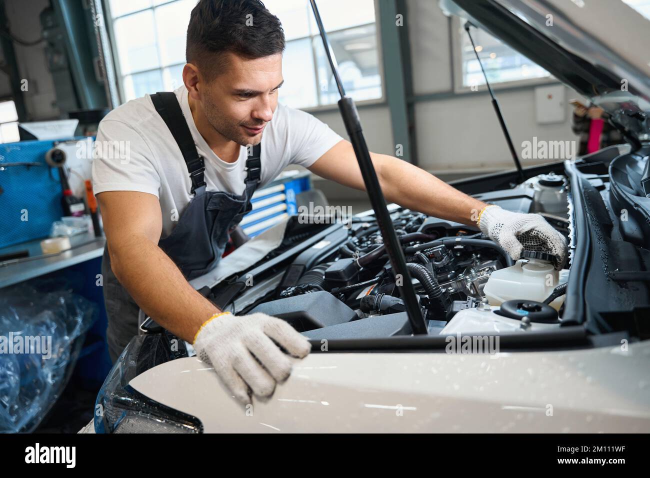 Portrait of mechanic checking parts of automobile Stock Photo - Alamy