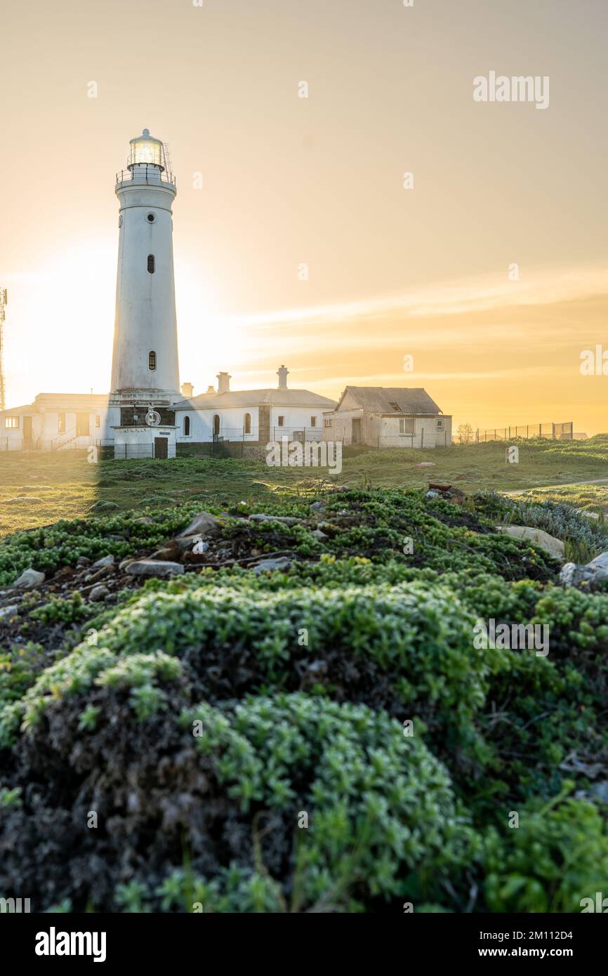 A vertical shot of a lighthouse on the shore at sunset Stock Photo - Alamy